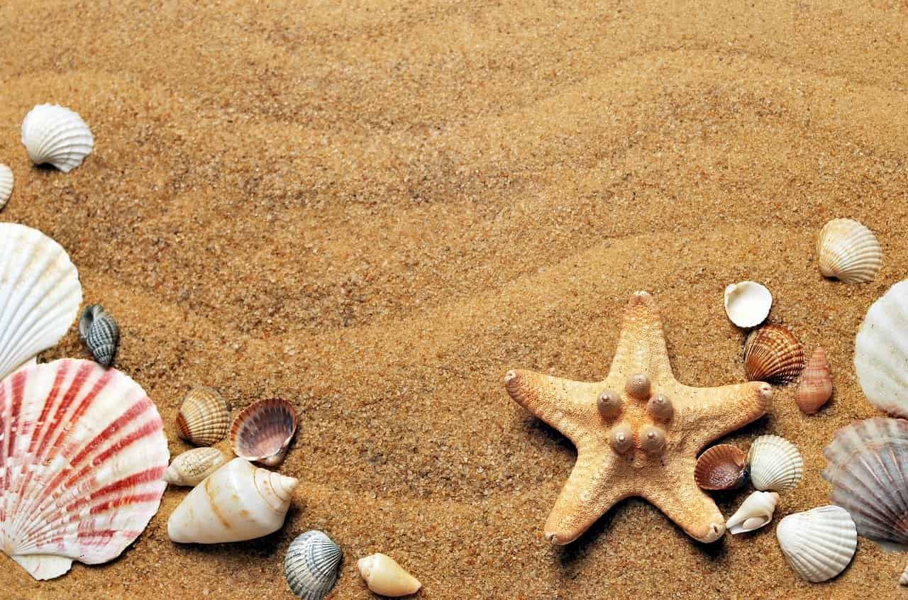 Quelles solutions d'hébergement pour des vacances à la plage ...
